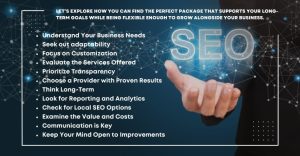 Choosing SEO Packages That Grow With Your Business - Vxplore Technologies